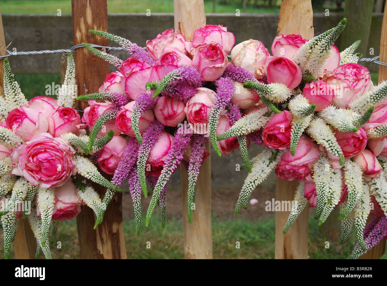 flower display at bi annual Rose festival Lottum Limburg Netherlands ...