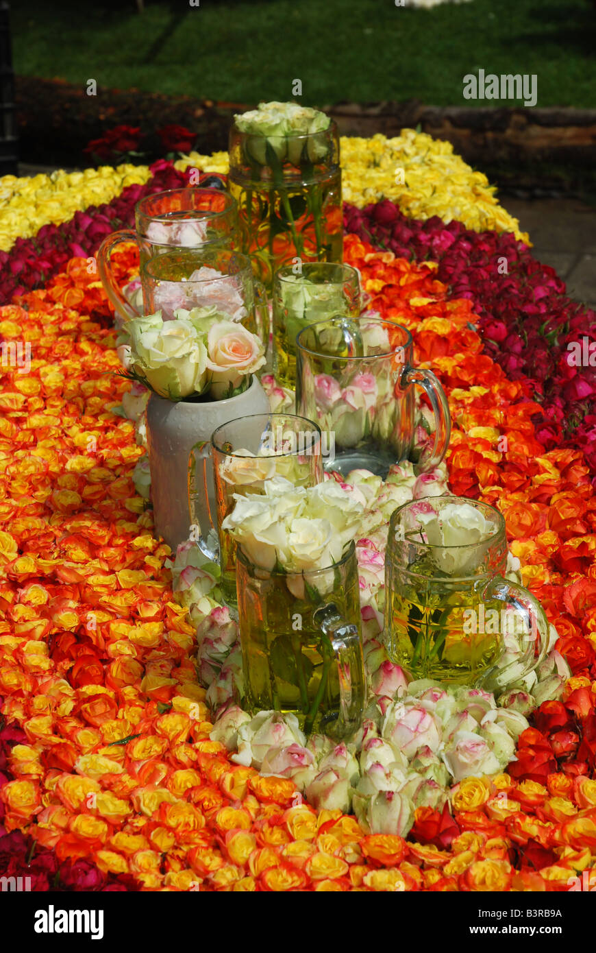 flower display at bi annual Rose festival Lottum Limburg Netherlands ...