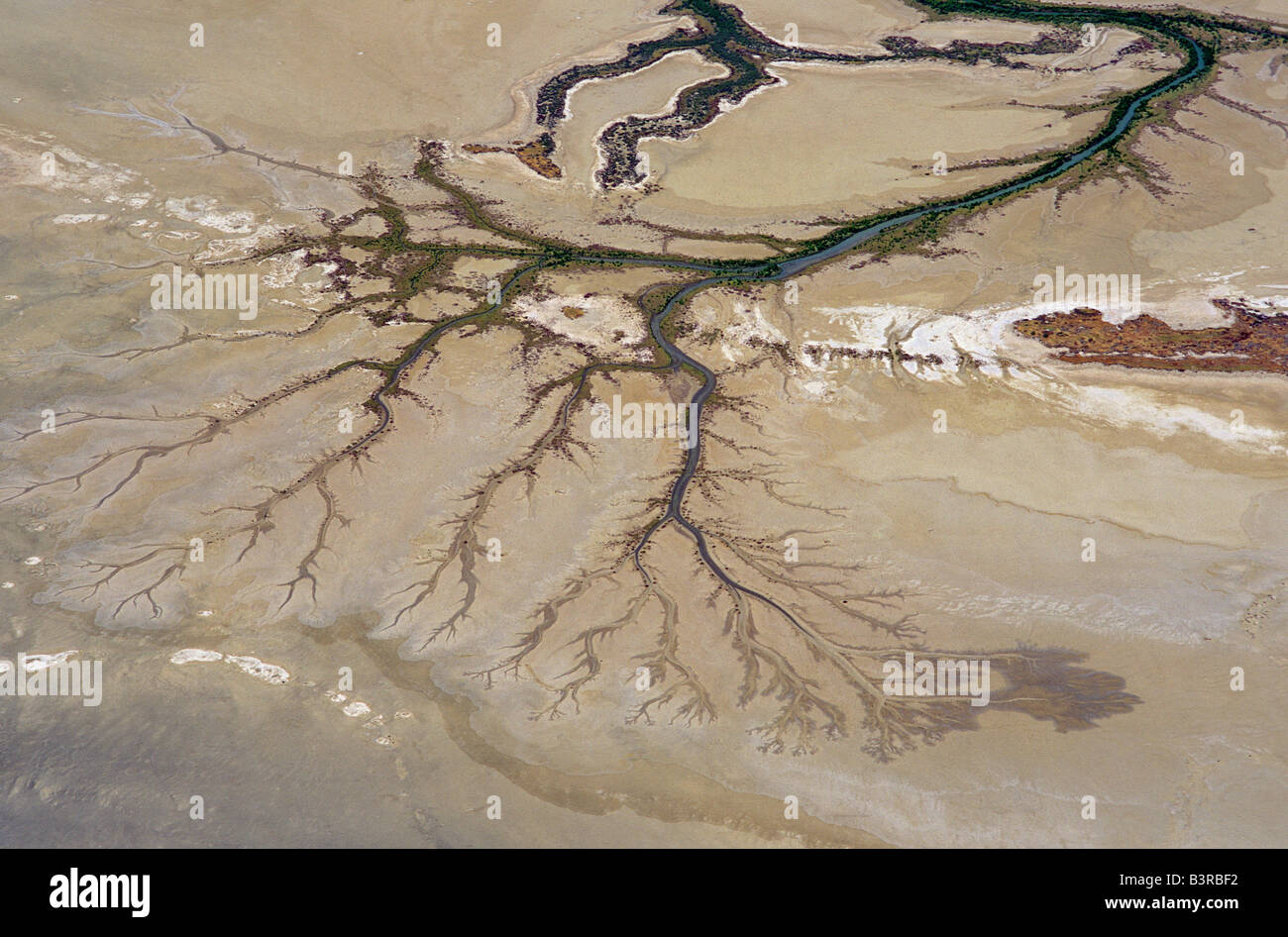 Aerial mudflats, Queensland, Australia Stock Photo - Alamy