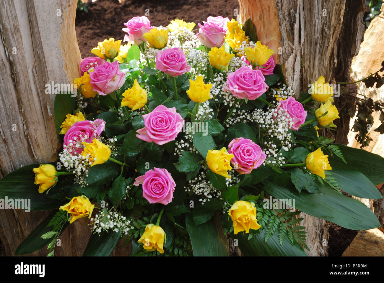 flower display at bi annual Rose festival Lottum Limburg Netherlands ...