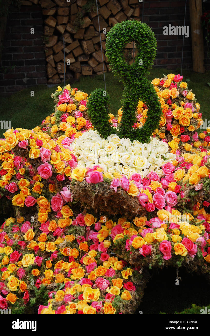 flower display at bi annual Rose festival Lottum Limburg Netherlands ...