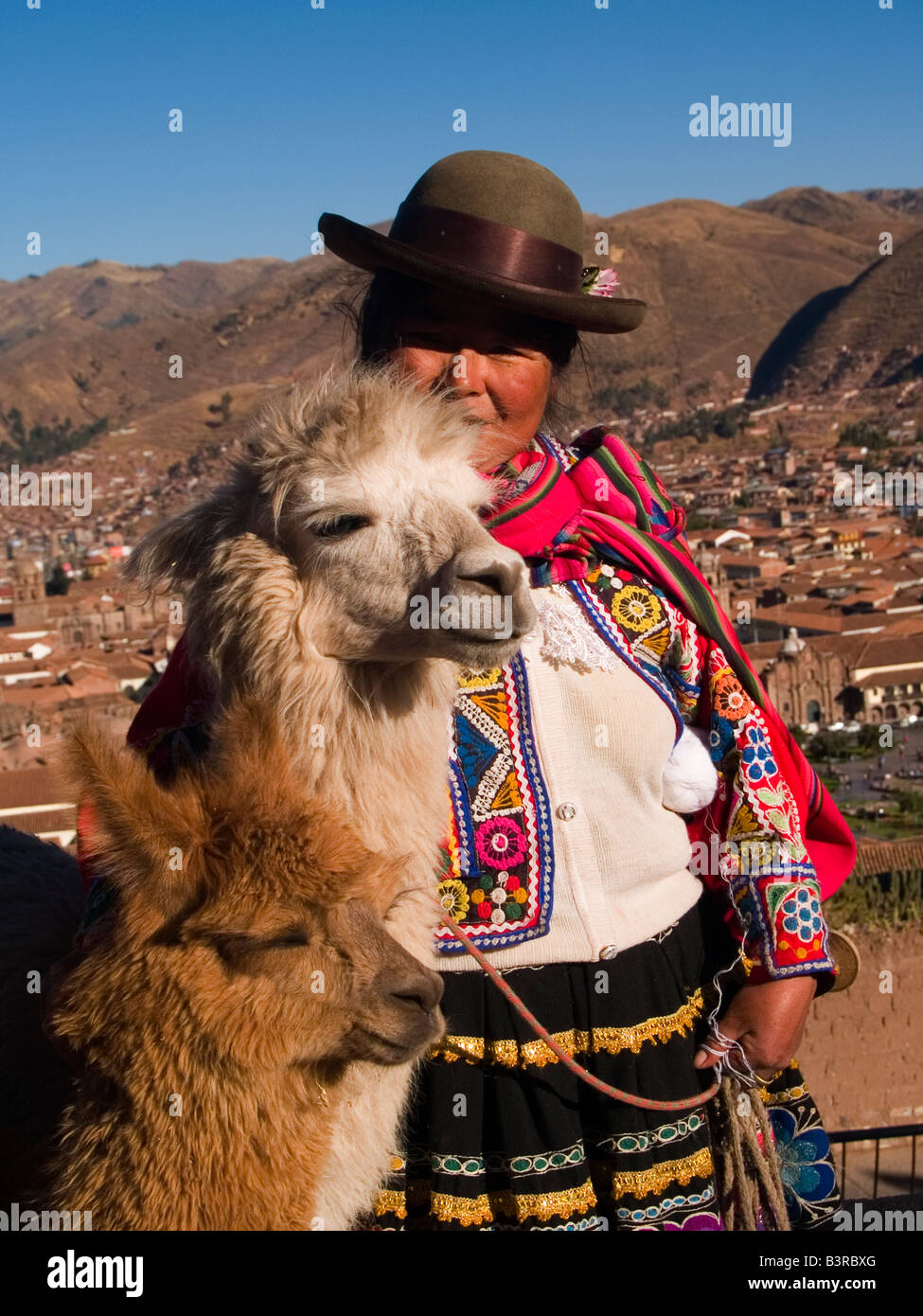 A Peruvian woman with an alpacas, Cuzco, Peru Stock Photo - Alamy
