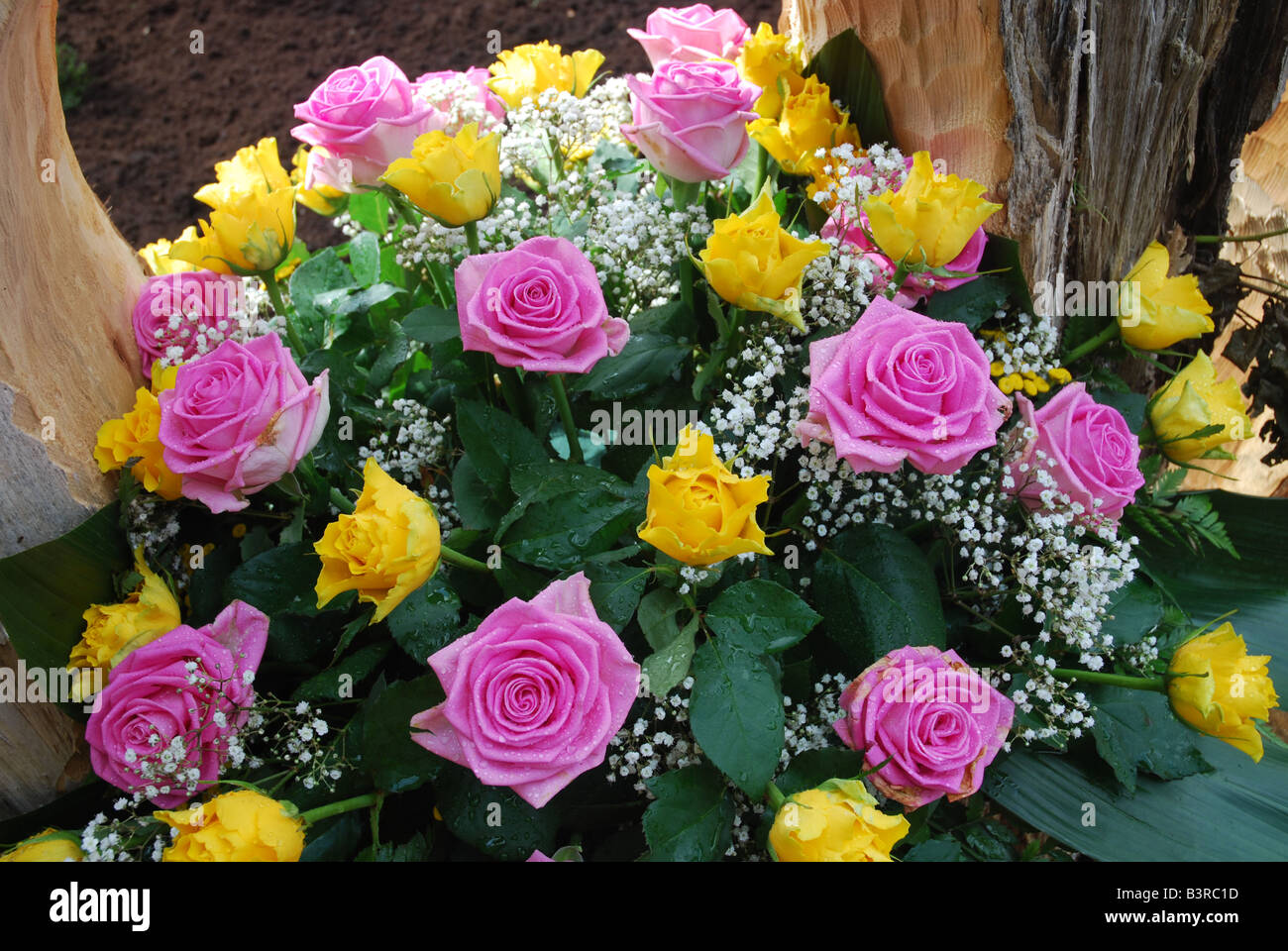 flower display at bi annual Rose festival Lottum Limburg Netherlands ...