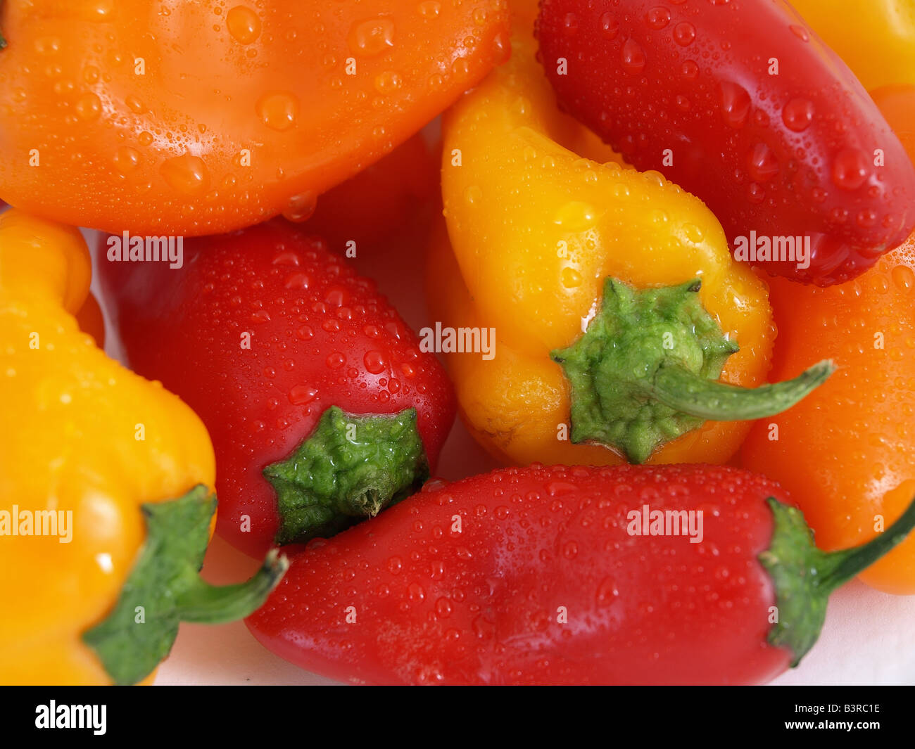 Colorful red yellow and orange bell peppers with sprinkles of water ...