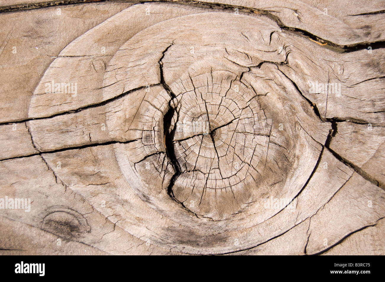 Aged knotty wood hi-res stock photography and images - Alamy