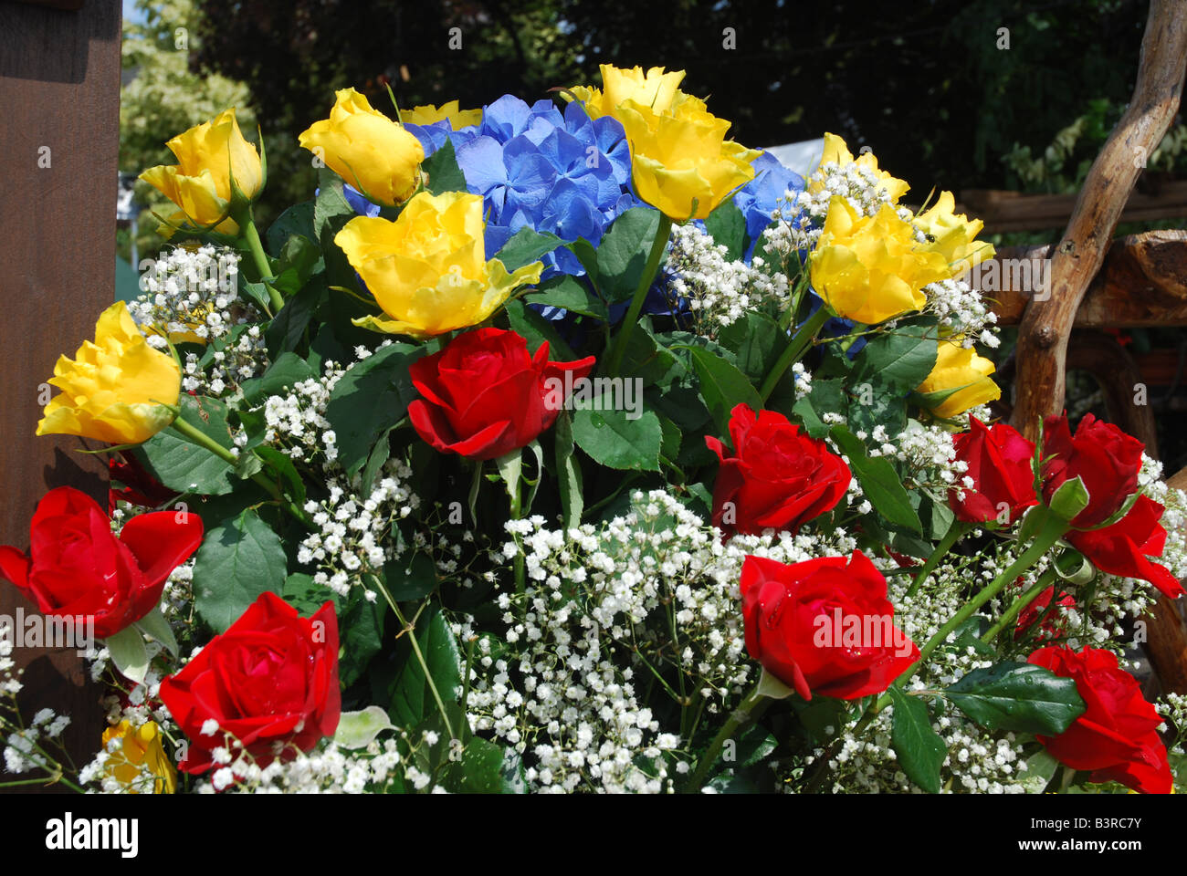 flower display at bi annual Rose festival Lottum Limburg Netherlands ...