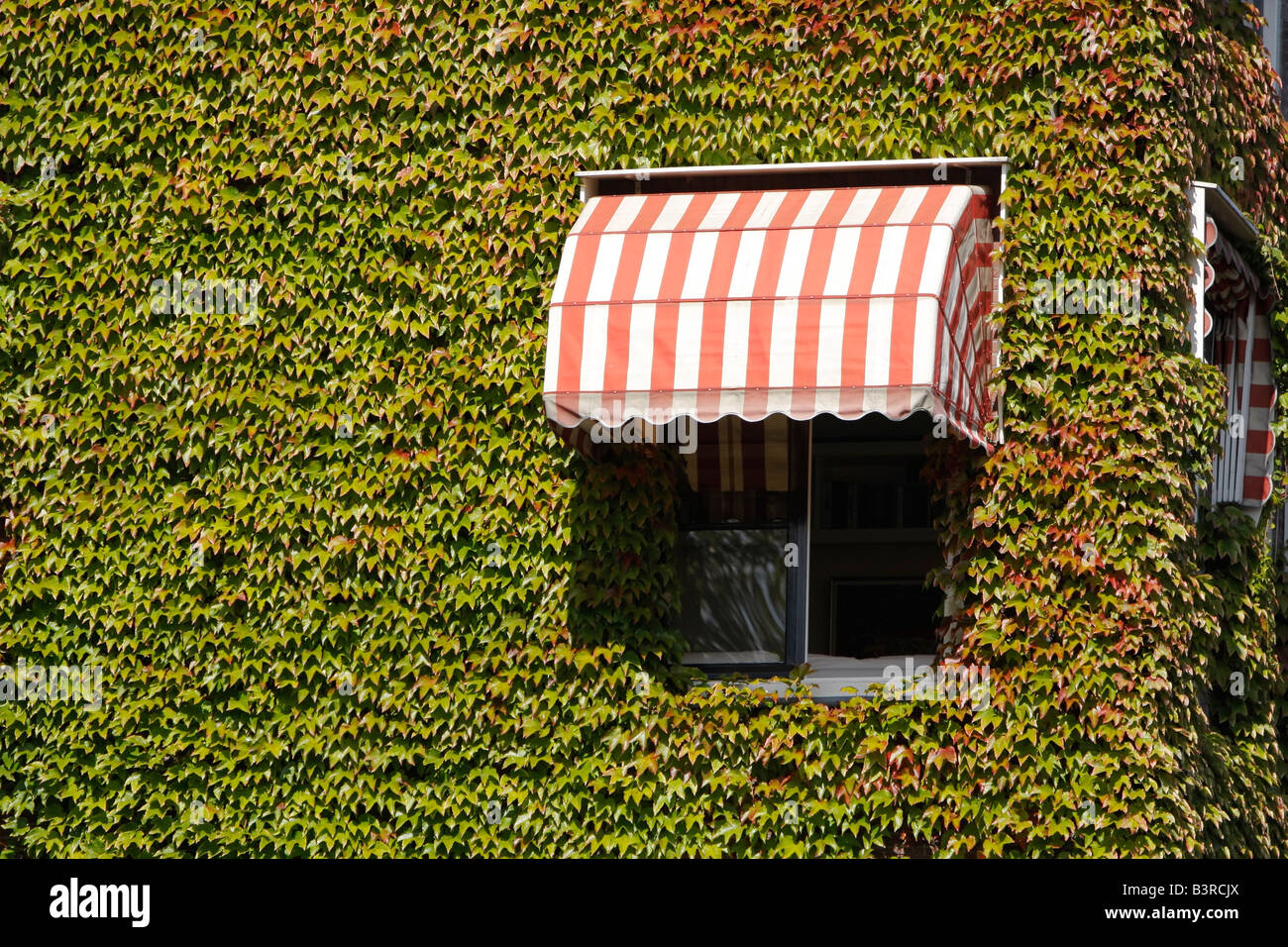 Amsterdam holland window architecture hi-res stock photography and ...