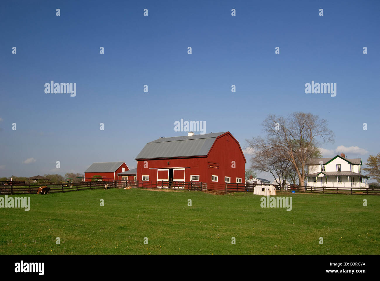 Farm with red barn and white house Stock Photo - Alamy
