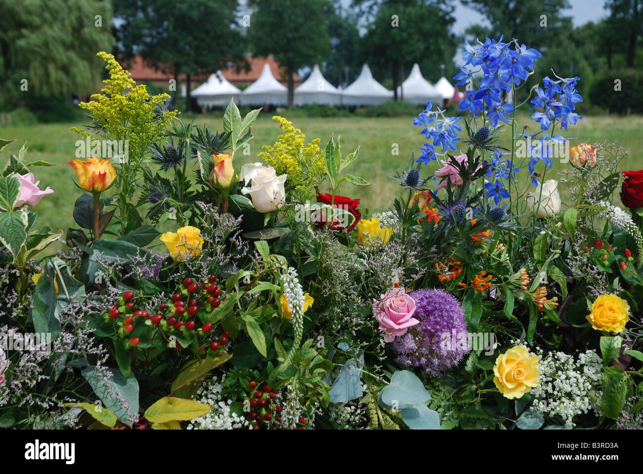 flower display at bi annual Rose festival Lottum Limburg Netherlands ...