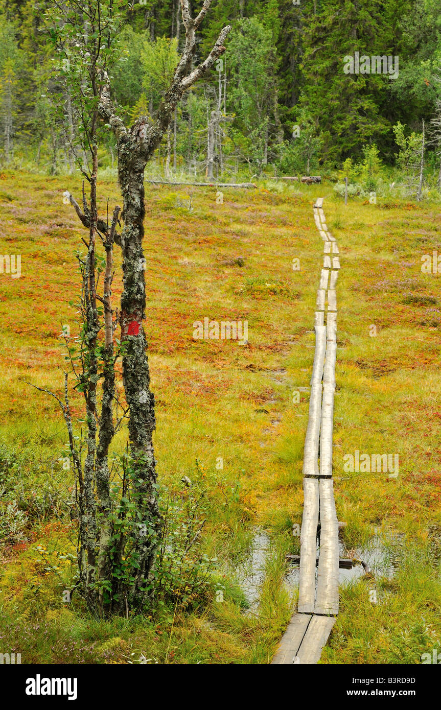 Marshland trails hi-res stock photography and images - Alamy