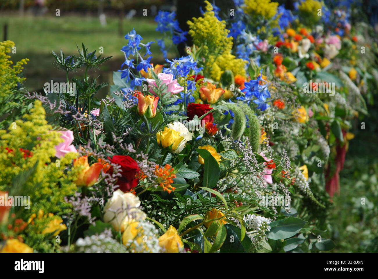 flower display at bi annual Rose festival Lottum Limburg Netherlands ...