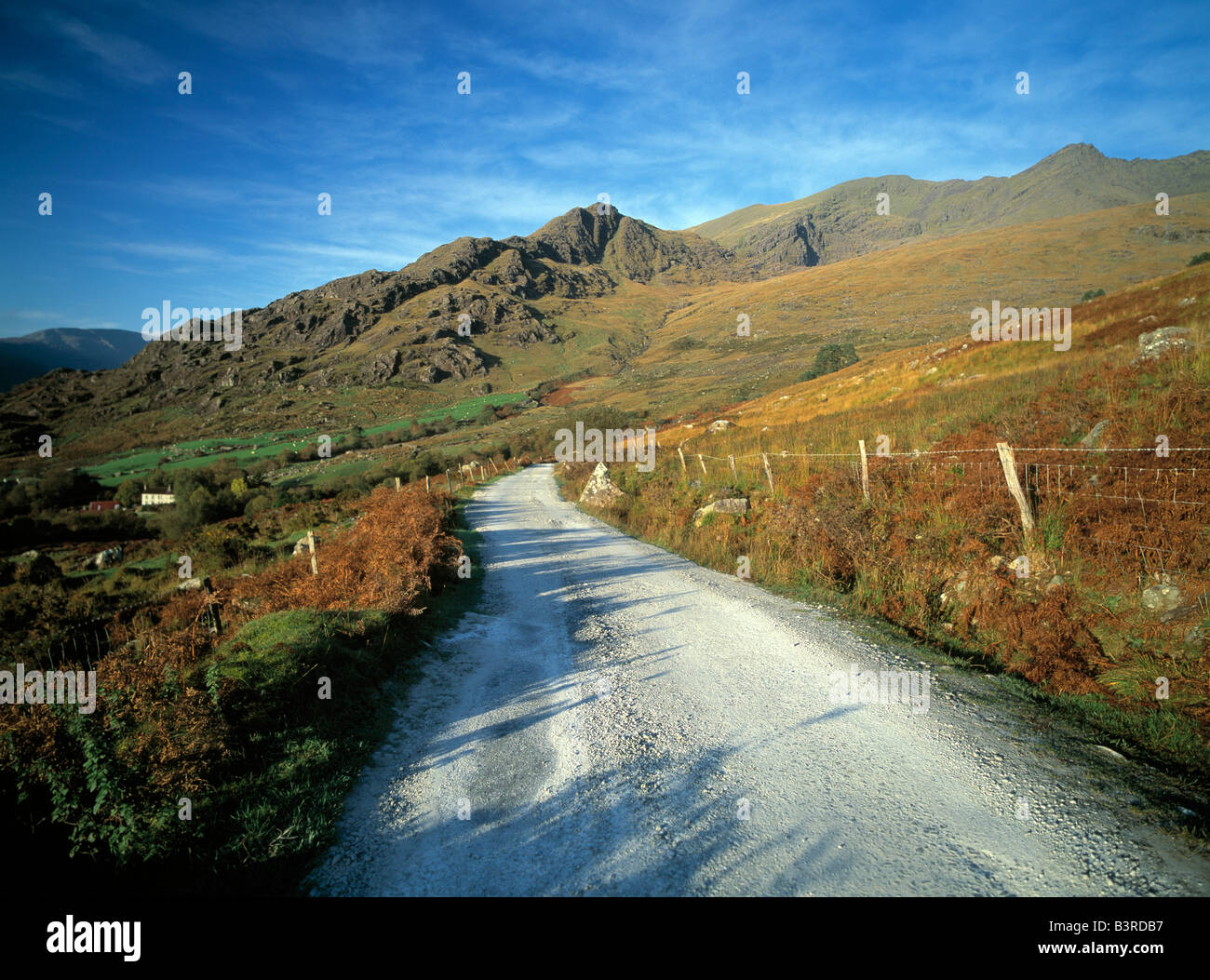 country lane running through irelands gap of dunloe Stock Photo - Alamy