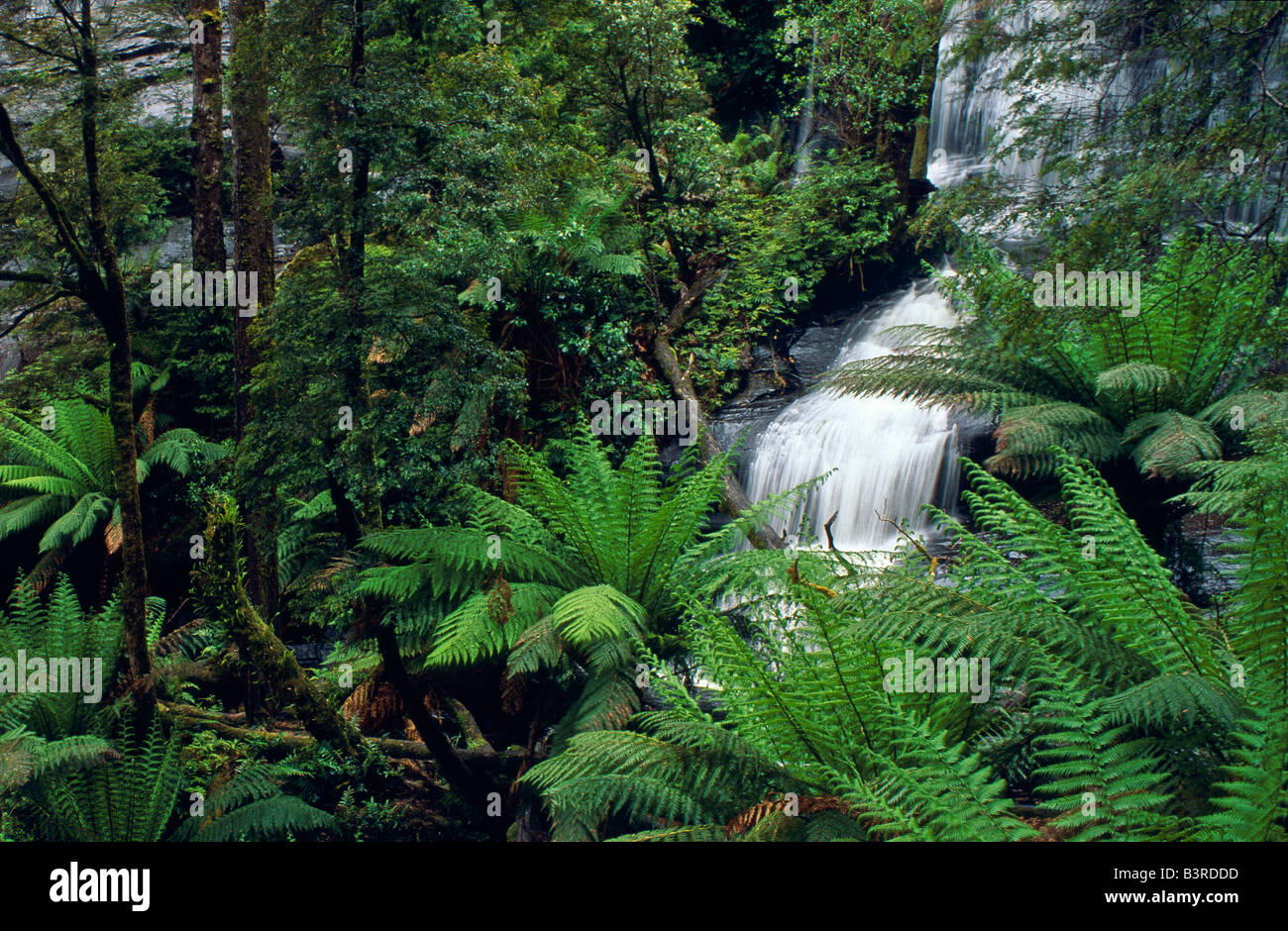 Waterfall, Victoria Australia Stock Photo - Alamy