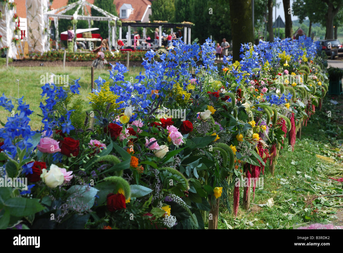 flower display at bi annual Rose festival Lottum Limburg Netherlands ...