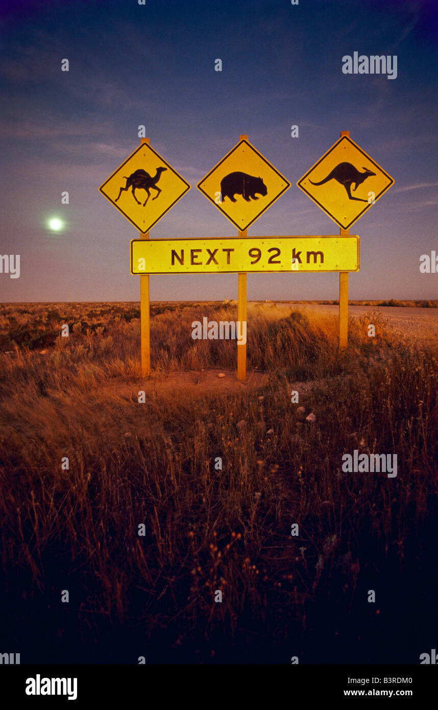 Wombatsilhouette hi-res stock photography and images - Alamy