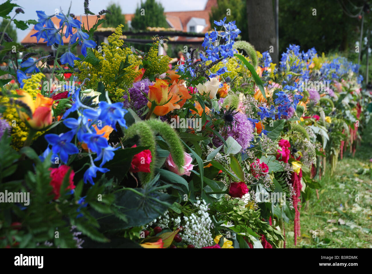 flower display at bi annual Rose festival Lottum Limburg Netherlands ...