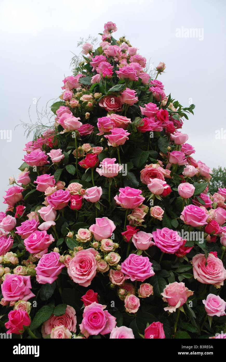 flower display at bi annual Rose festival Lottum Limburg Netherlands ...