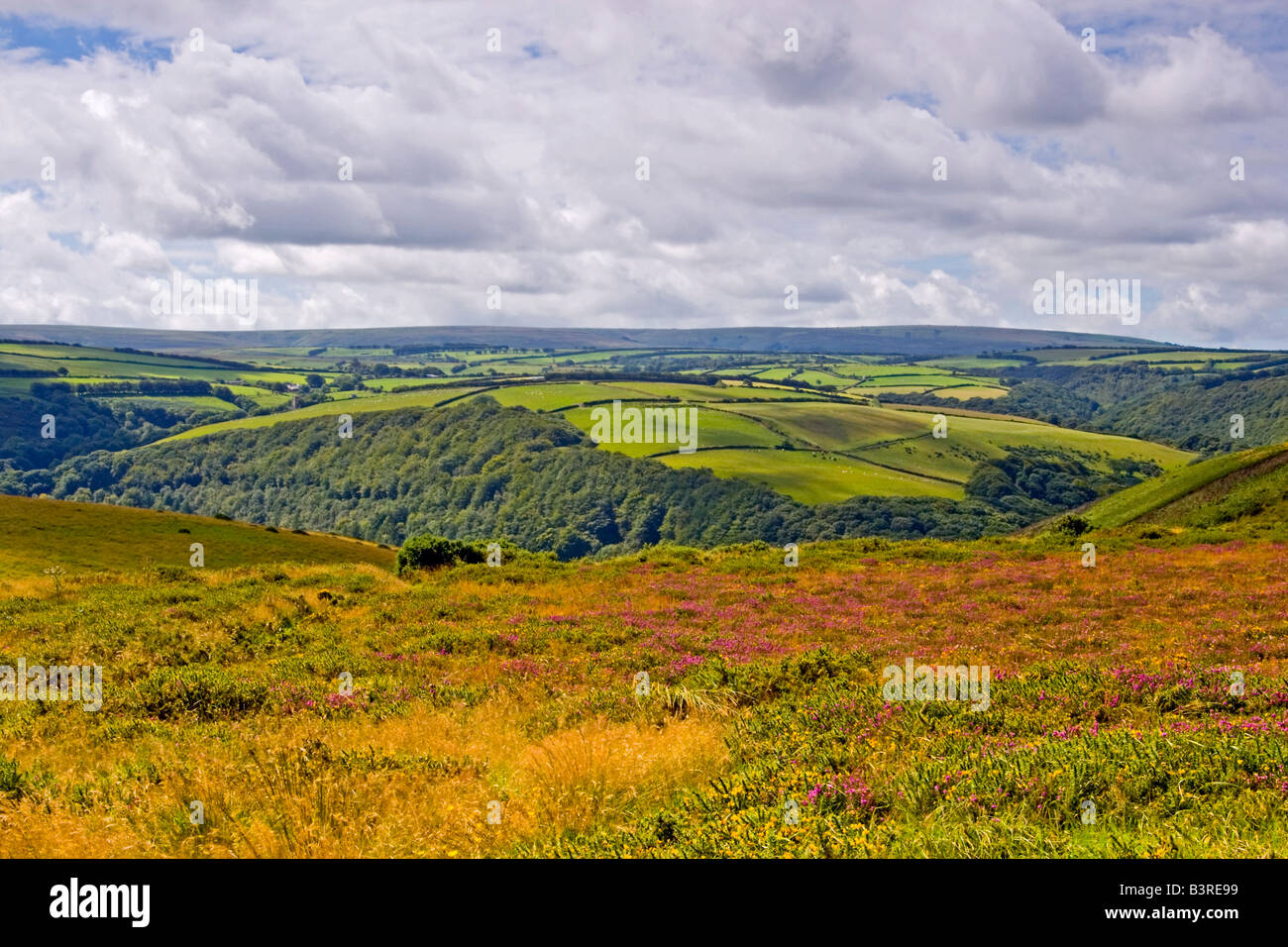 View over Exmoor National Park Stock Photo - Alamy