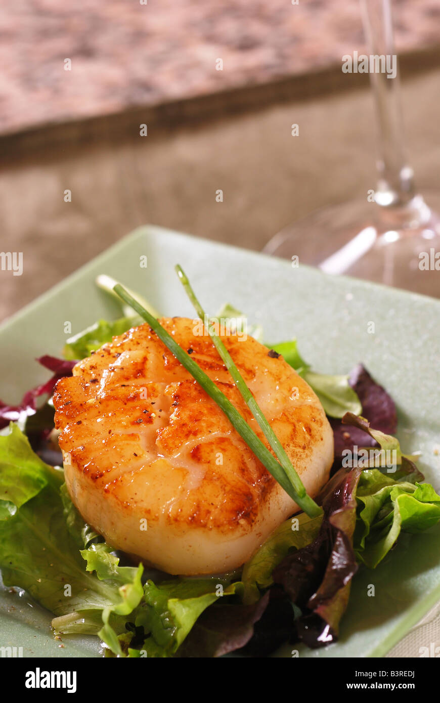Scallop with field greens on a dinner plate Stock Photo - Alamy