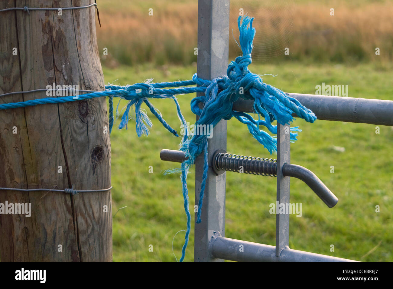 Farm gate tied closed with blue string Stock Photo - Alamy