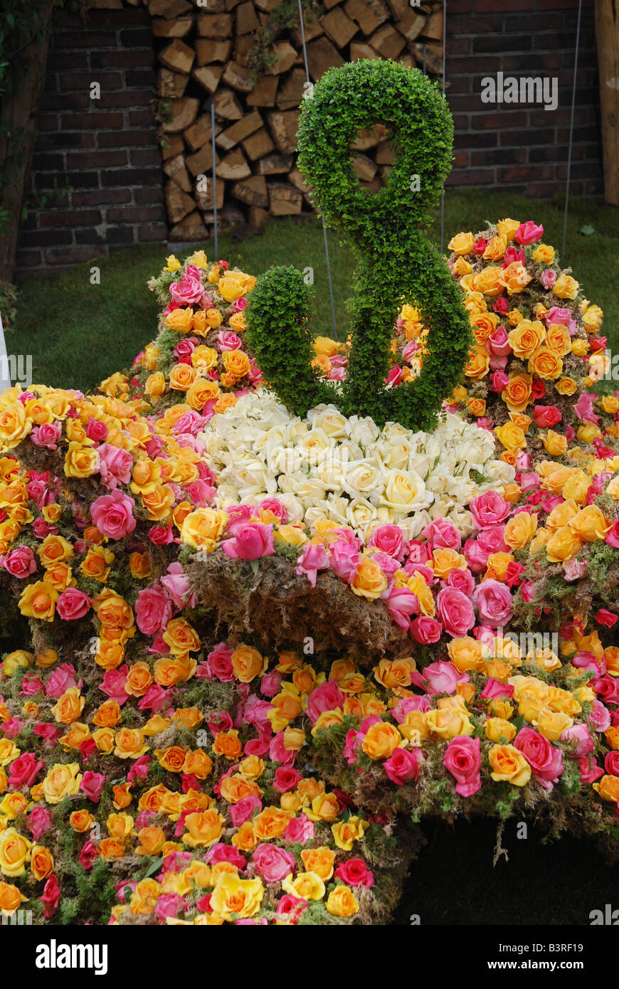 flower display at bi annual Rose festival Lottum Limburg Netherlands ...