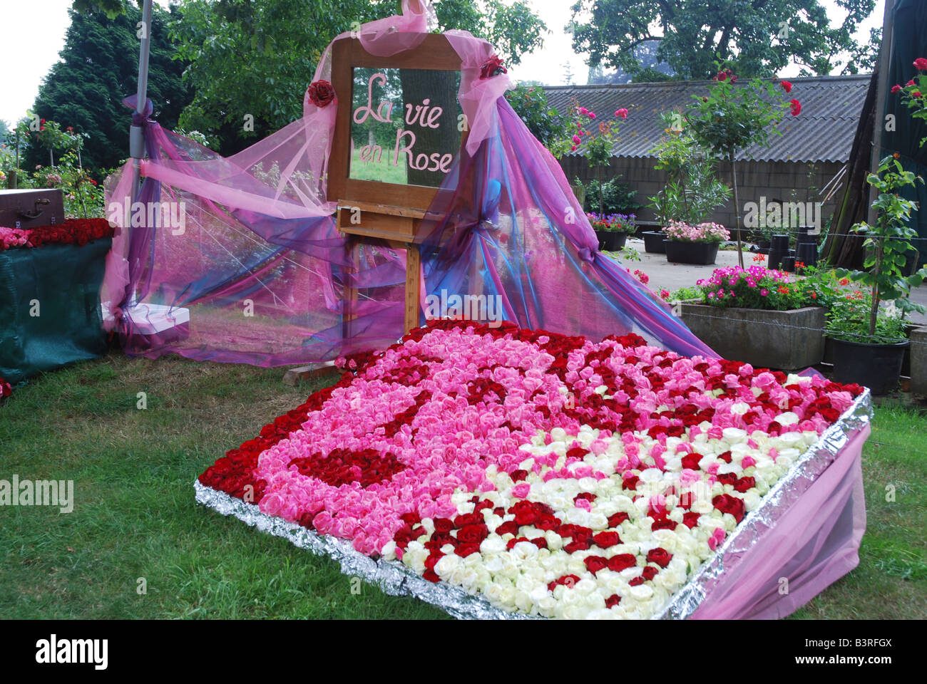 flower display at bi annual Rose festival Lottum Limburg Netherlands ...