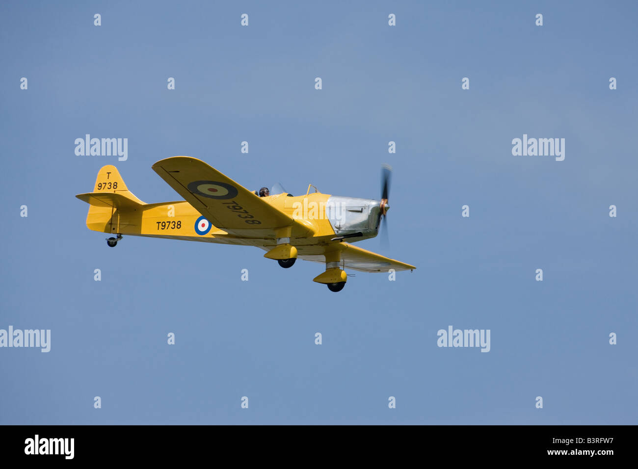 Miles hawk trainer hi-res stock photography and images - Alamy