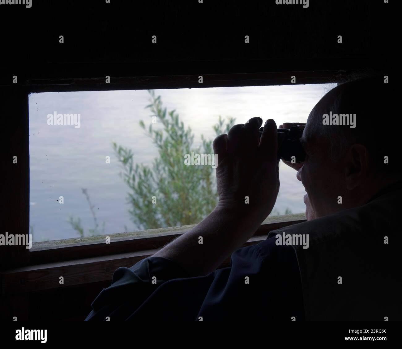 man bird watching with binoculars in a hide Stock Photo - Alamy