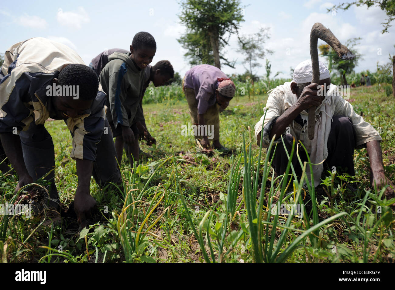 Ethiopia farmer hi-res stock photography and images - Alamy