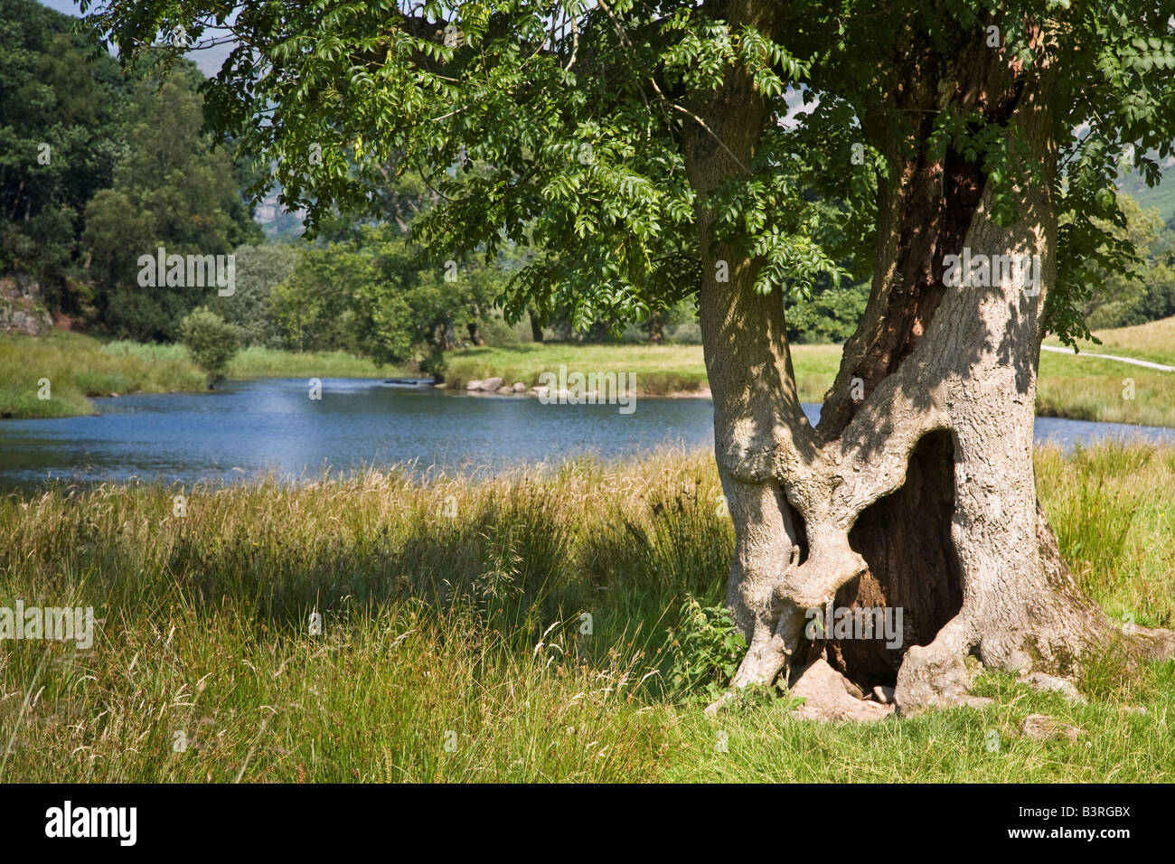 Lake elterwater hi-res stock photography and images - Alamy