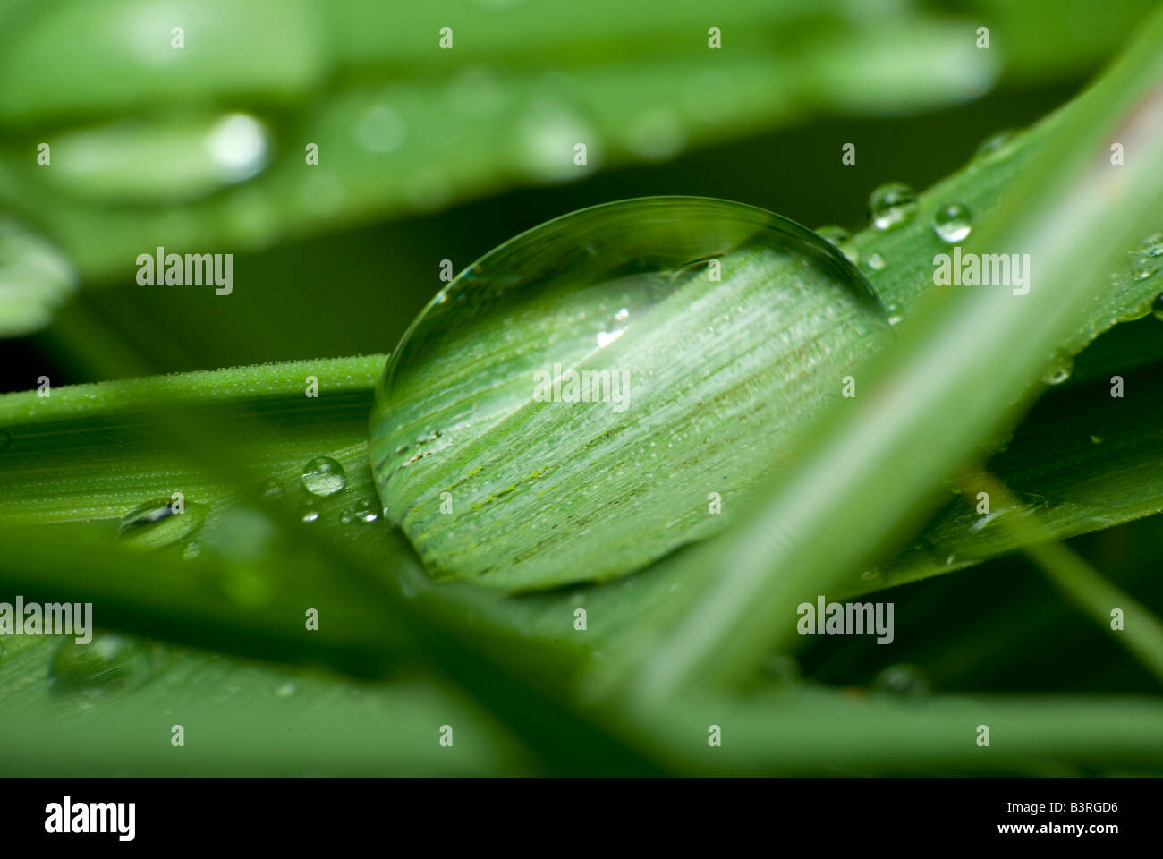 Derwdrop hi-res stock photography and images - Alamy