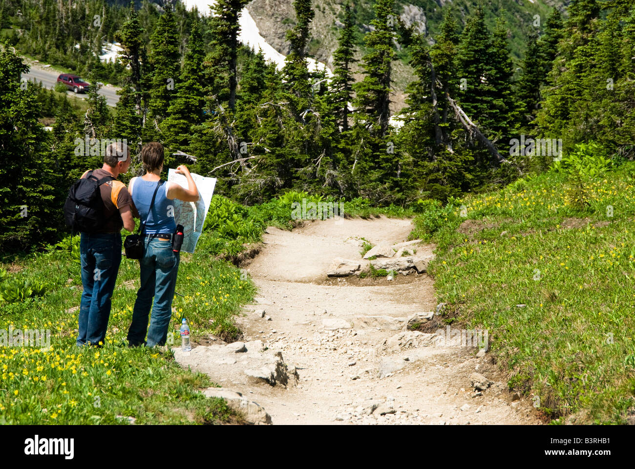 hikers checking the map on Highline Trail in Glacier National Park ...