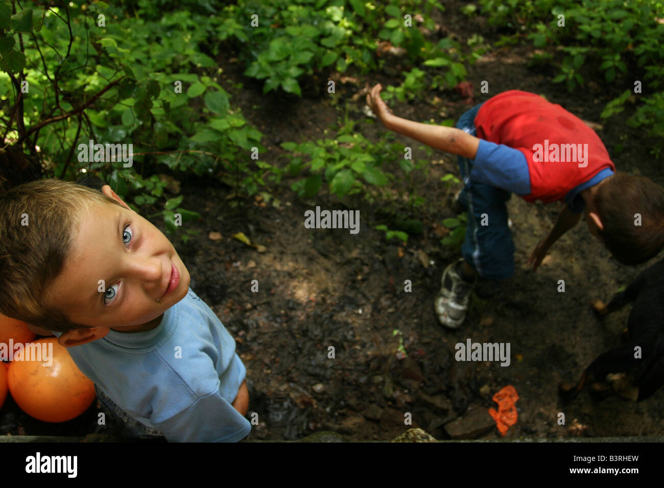 Two boys playing in bush Stock Photo - Alamy