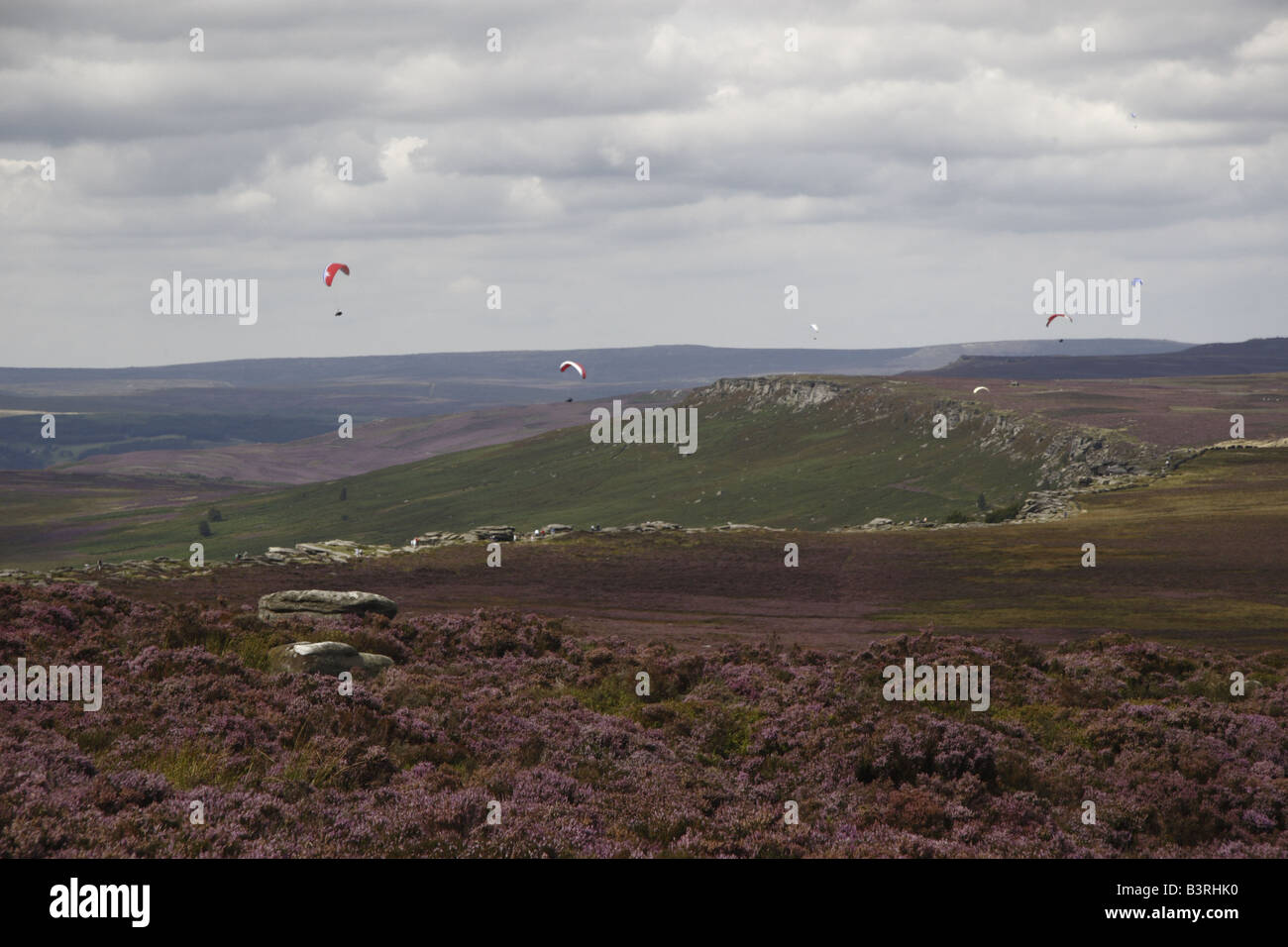 Purple Heather at stanage Edge Stock Photo - Alamy