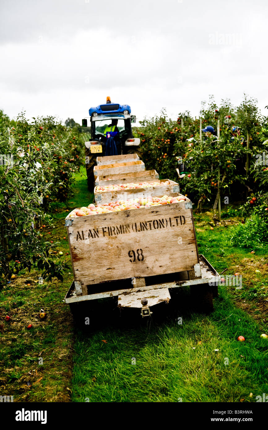 Pack house hi-res stock photography and images - Alamy