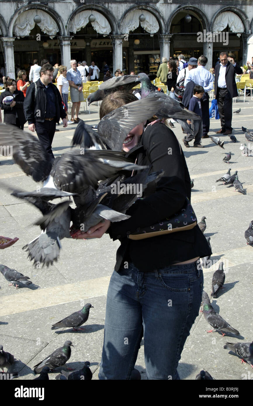 Pigeons Attacking