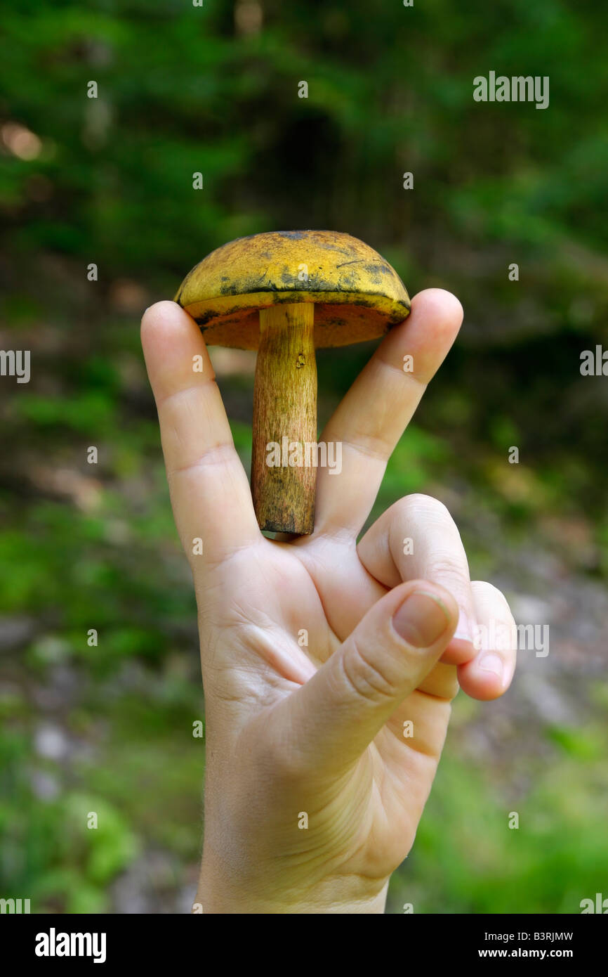 Victory hi res hi-res stock photography and images - Alamy