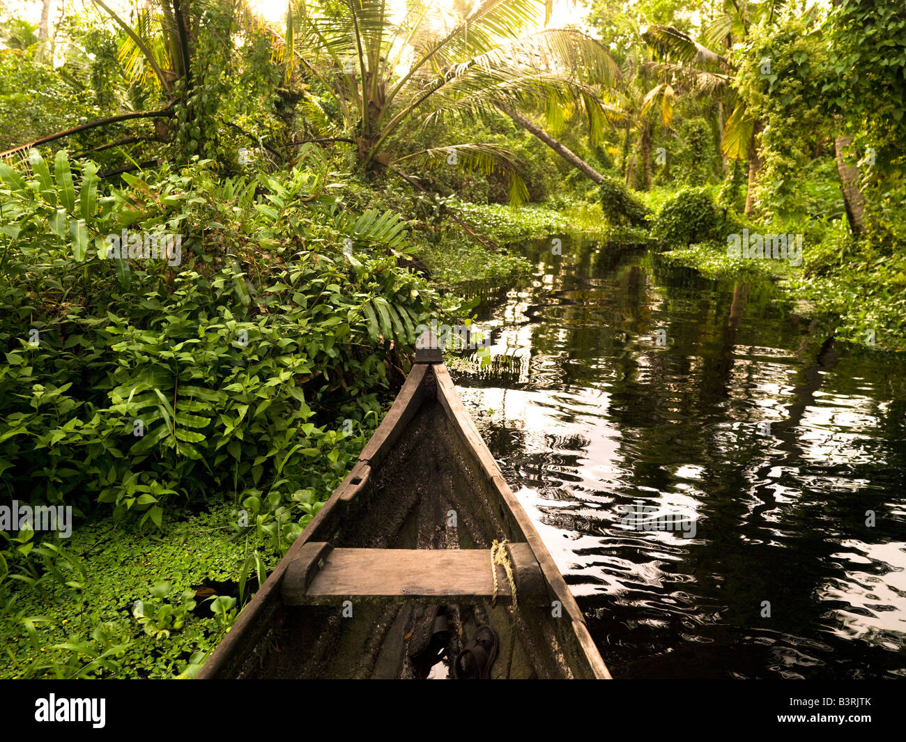 Canoe in the jungle, Kerala, India Stock Photo - Alamy