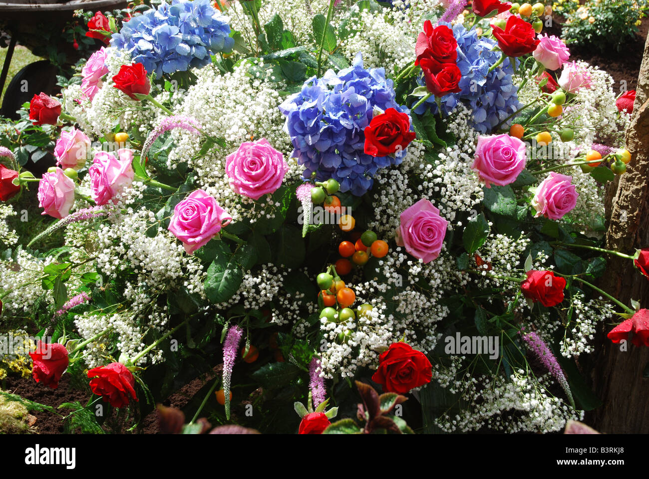 Pink display boxes hi-res stock photography and images - Alamy