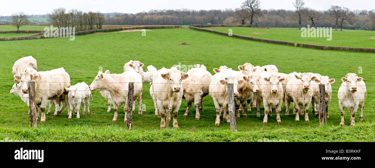 Hills of bourgogne hi-res stock photography and images - Alamy