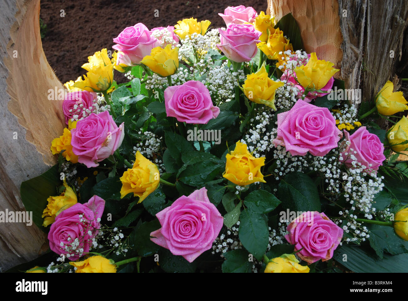 flower display at bi annual Rose festival Lottum Limburg Netherlands ...