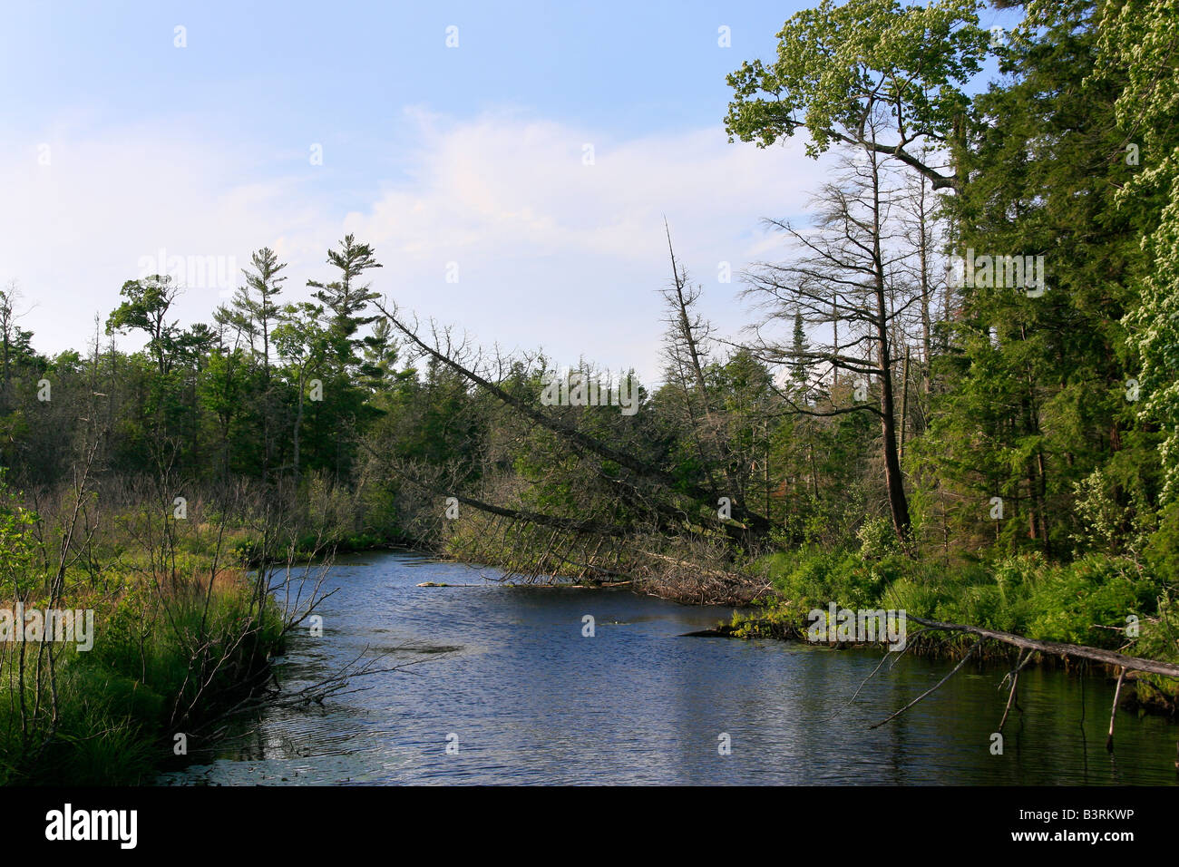 Horizontal photos hi-res stock photography and images - Alamy