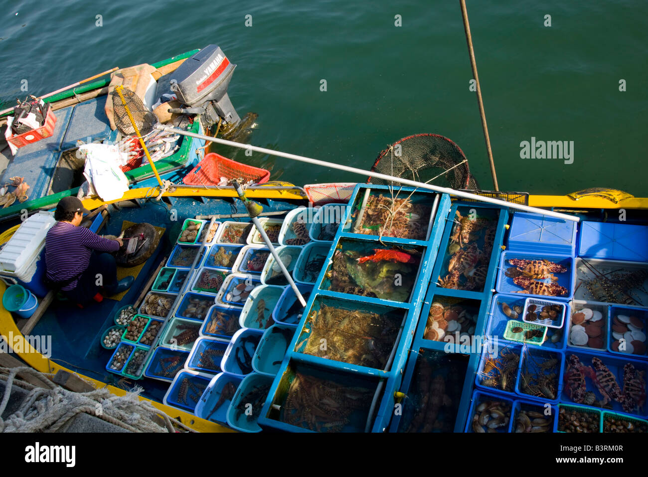 asia china hong kong Saikung new territories 2007 fish boats Stock Photo - Alamy