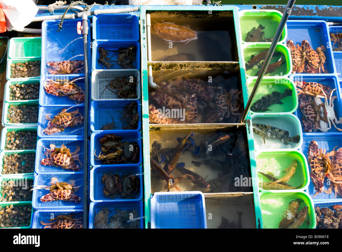 asia china hong kong Saikung new territories 2007 fish boats Stock Photo - Alamy