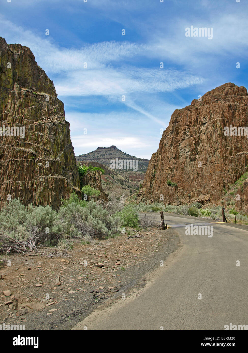 Sage of the desert hi-res stock photography and images - Alamy