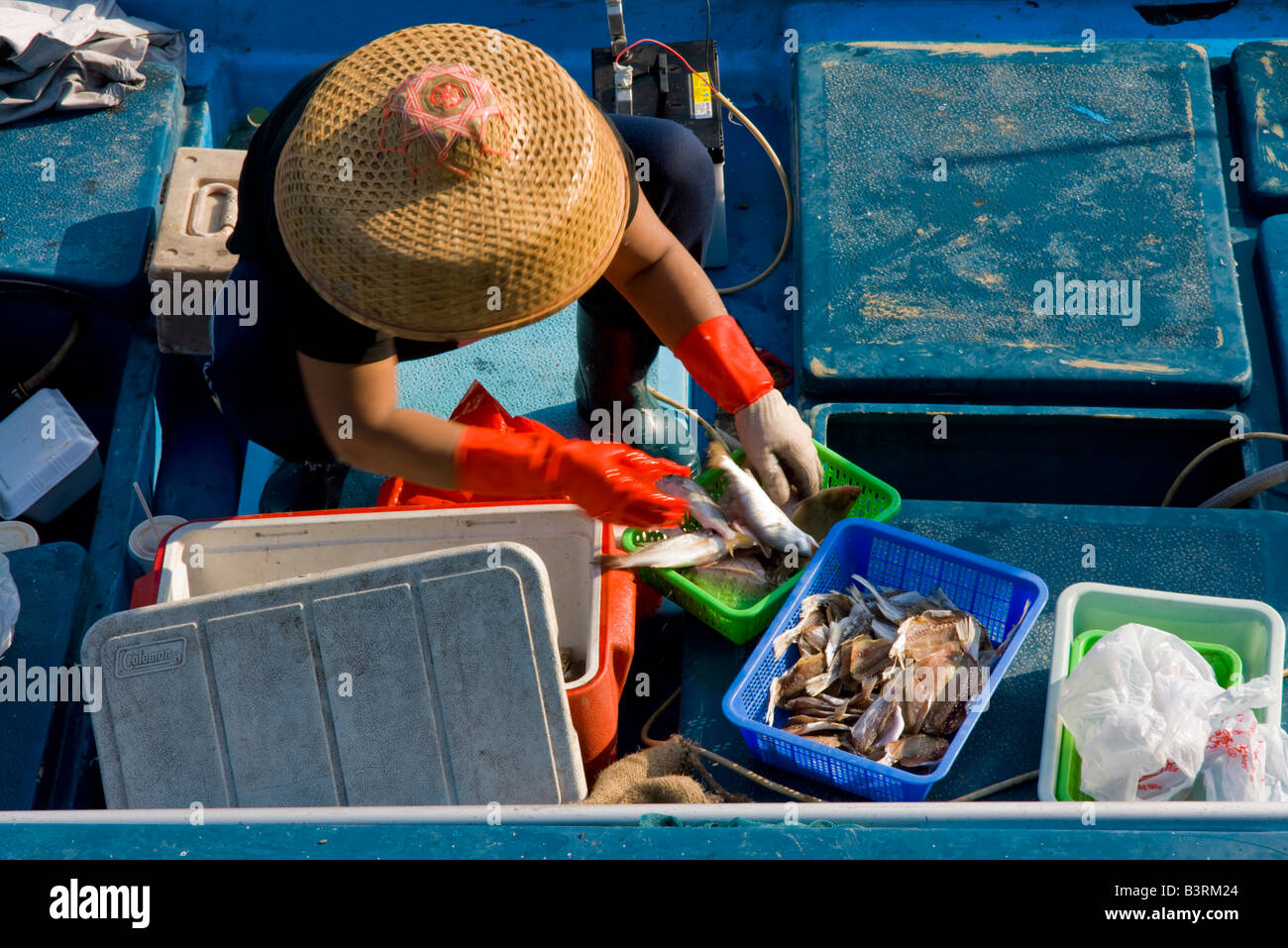 asia china hong kong Saikung new territories fish boats Stock Photo - Alamy