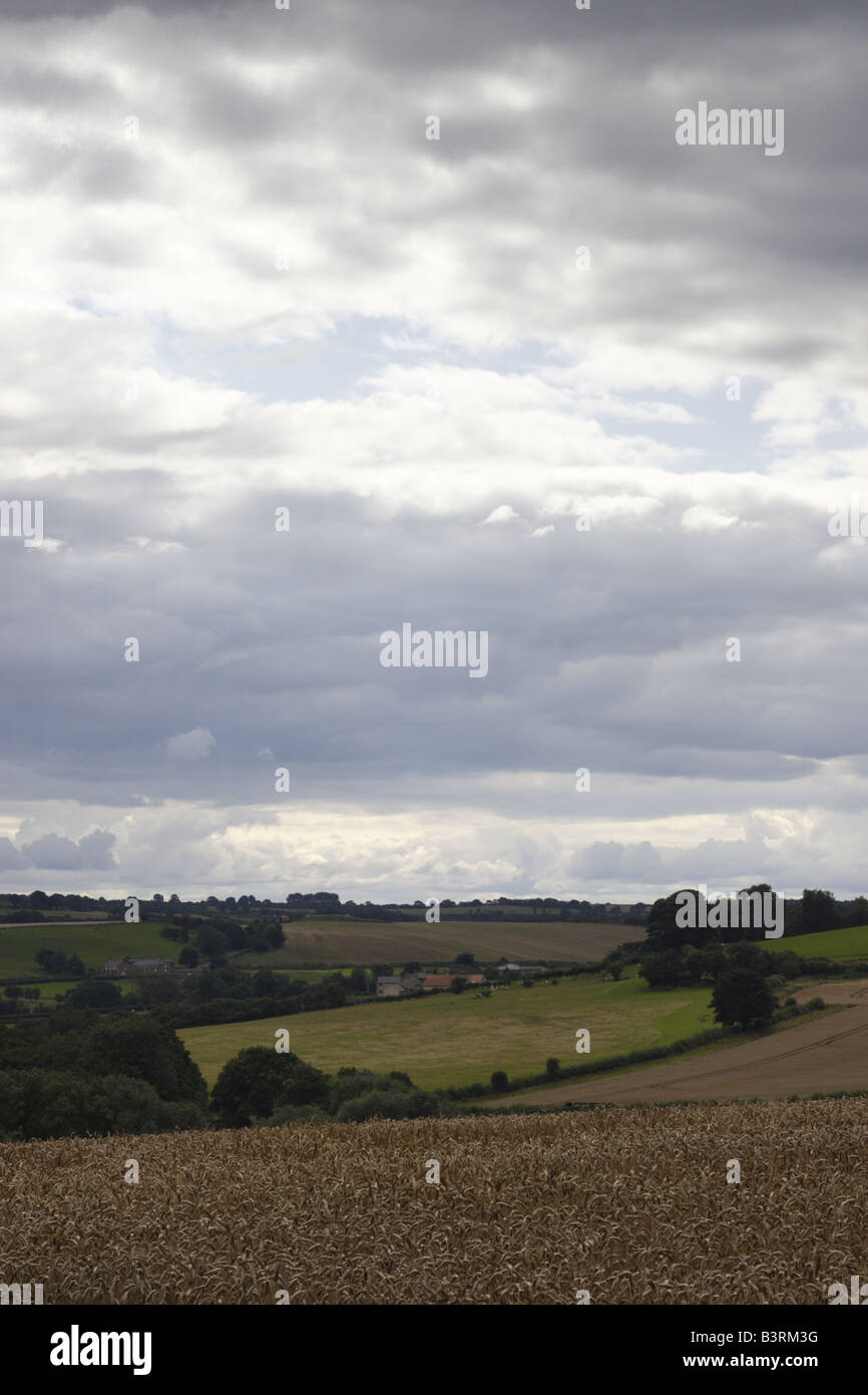 Collingham hi-res stock photography and images - Alamy