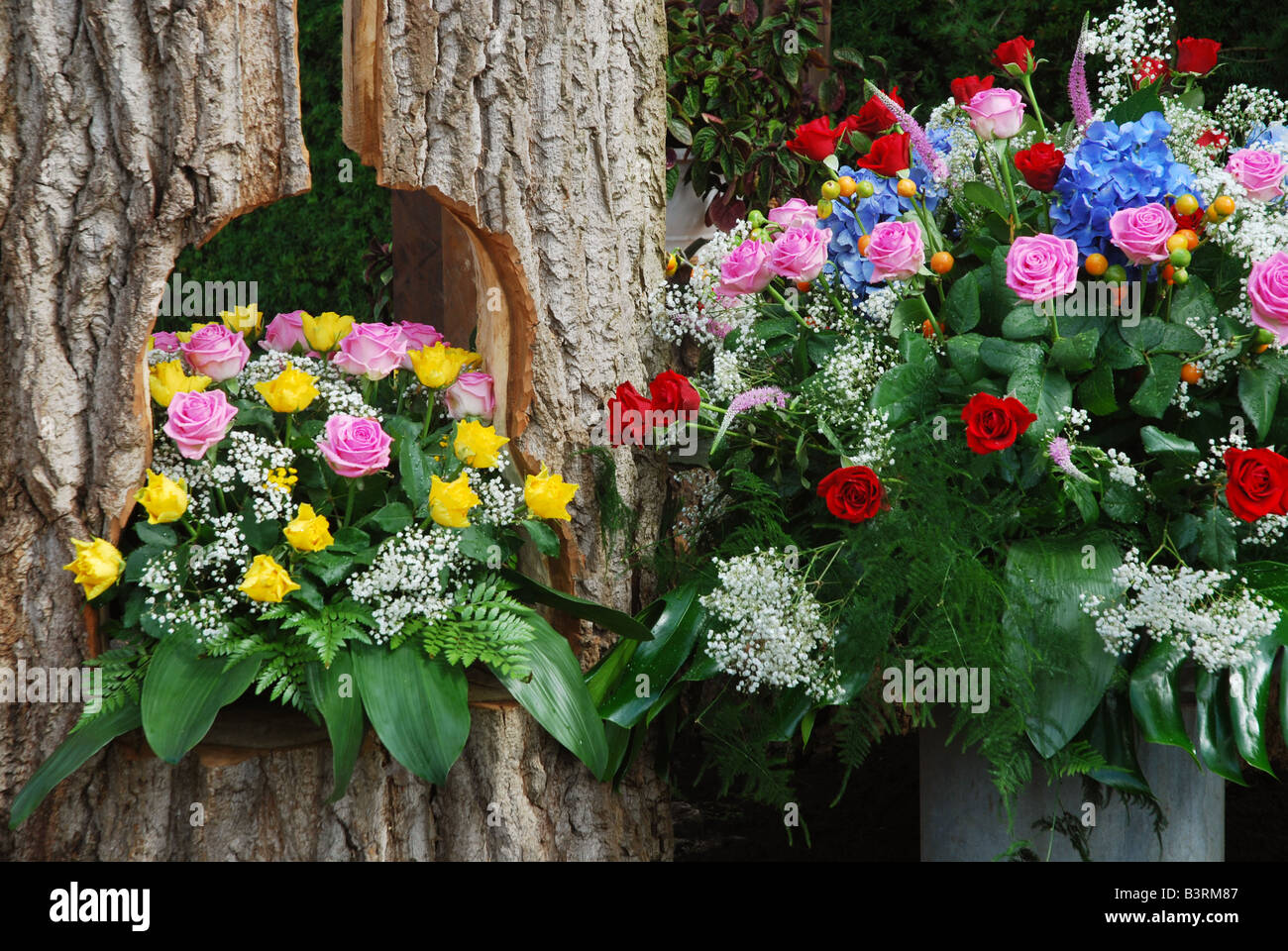 flower display at bi annual Rose festival Lottum Limburg Netherlands ...