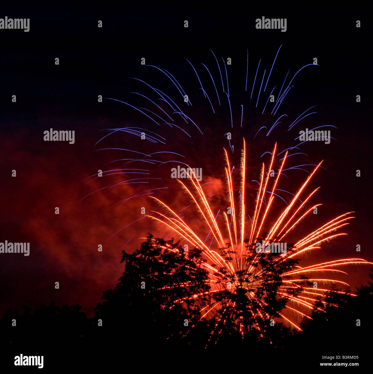 Fireworks over silhouetted trees Stock Photo - Alamy