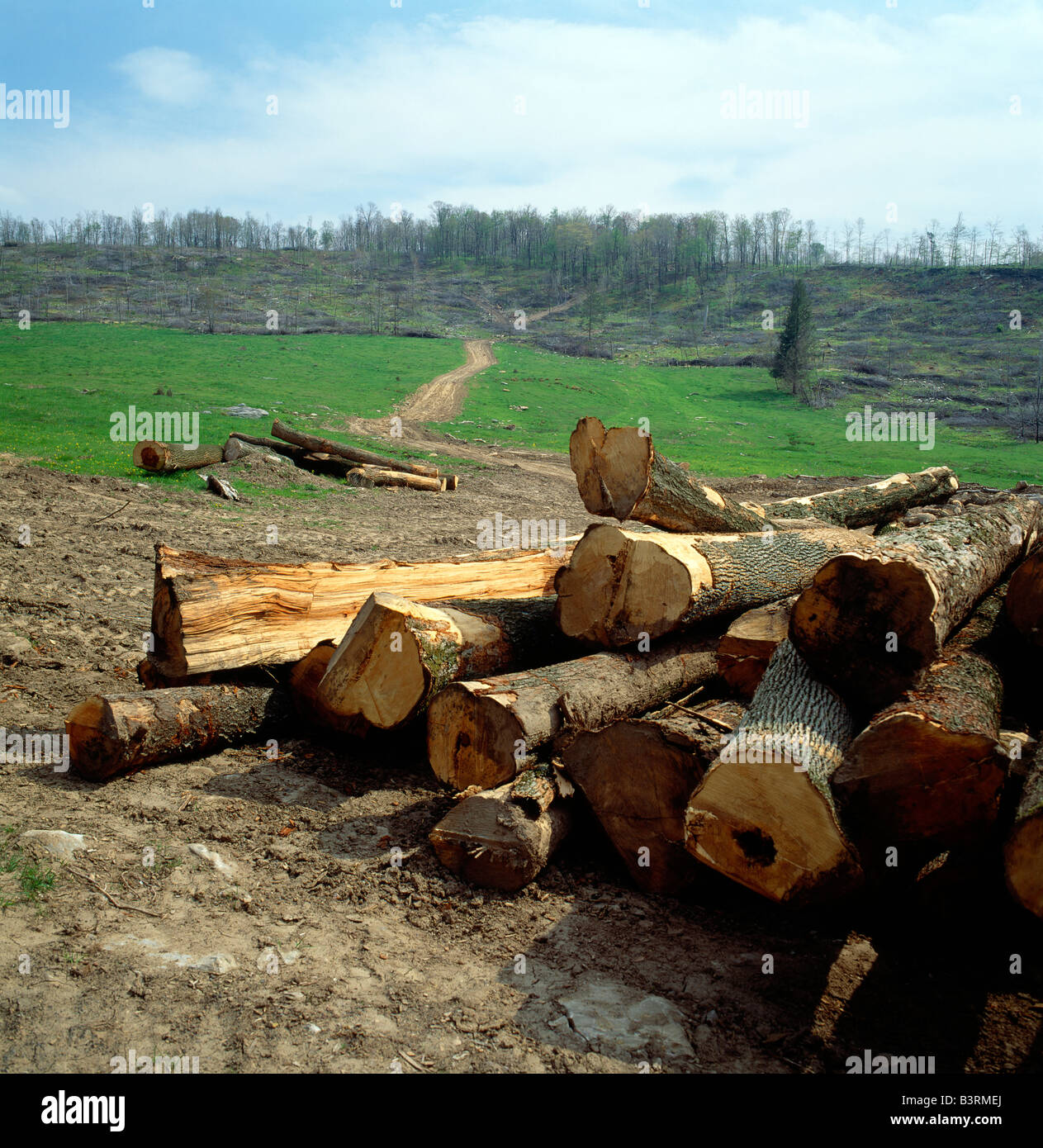Listonberg hi-res stock photography and images - Alamy